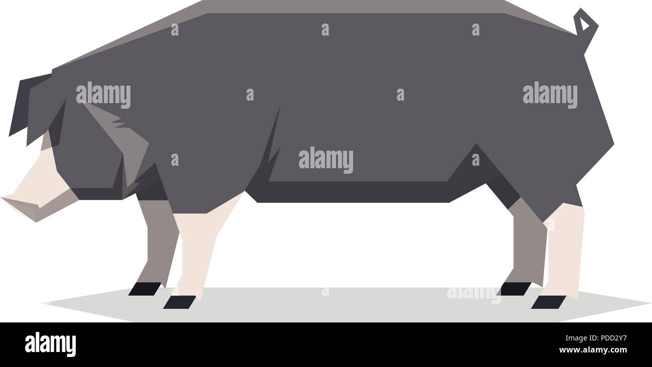 Poland china pig Stock Vector Images - Alamy