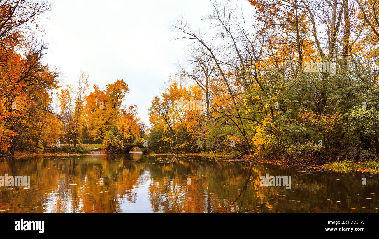 Colorful autumn with maples trees and water surface at the Mille Îles ...