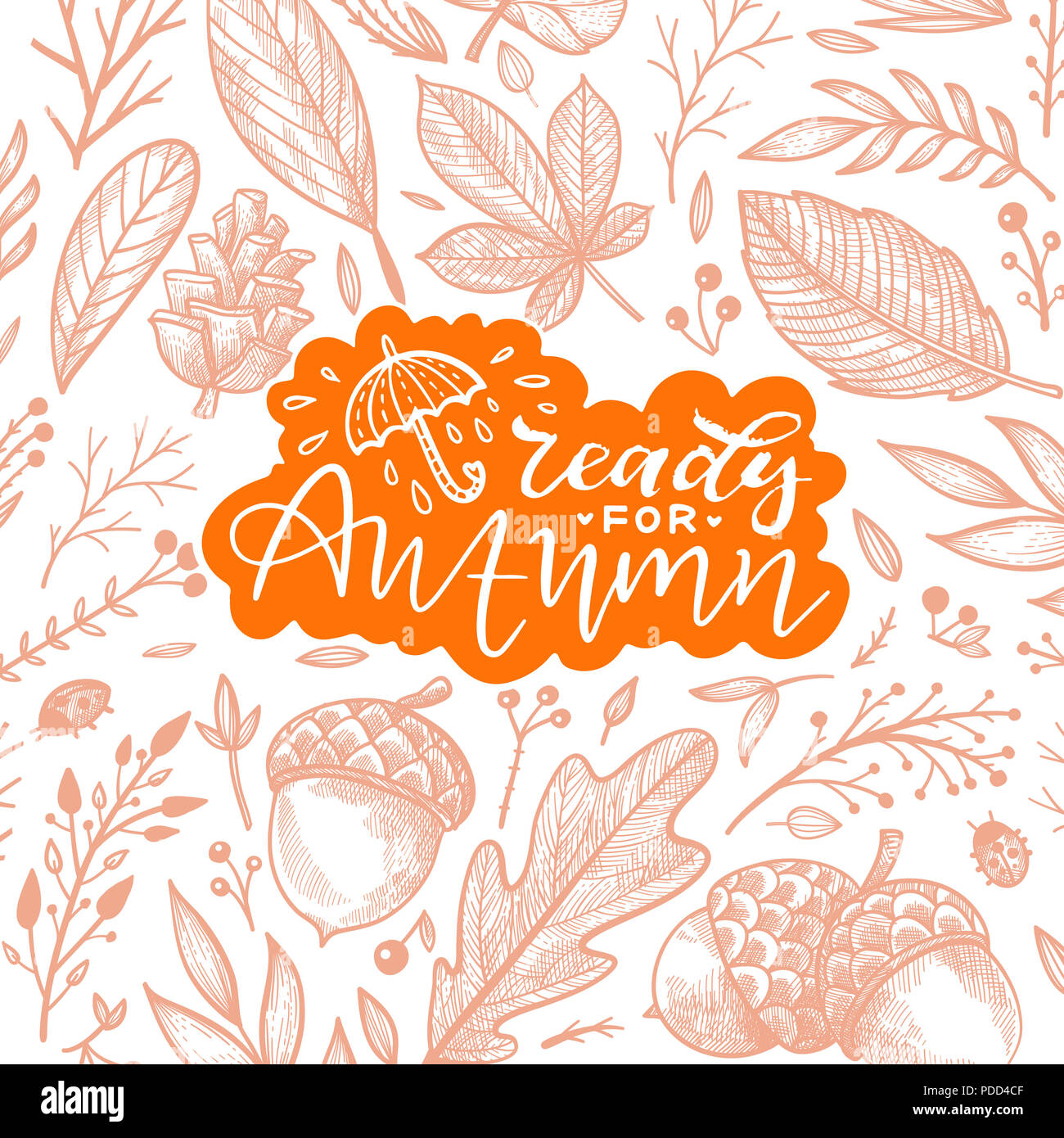 Autumn illustration of leaves and acorns with script Autumn. Drawn by ...