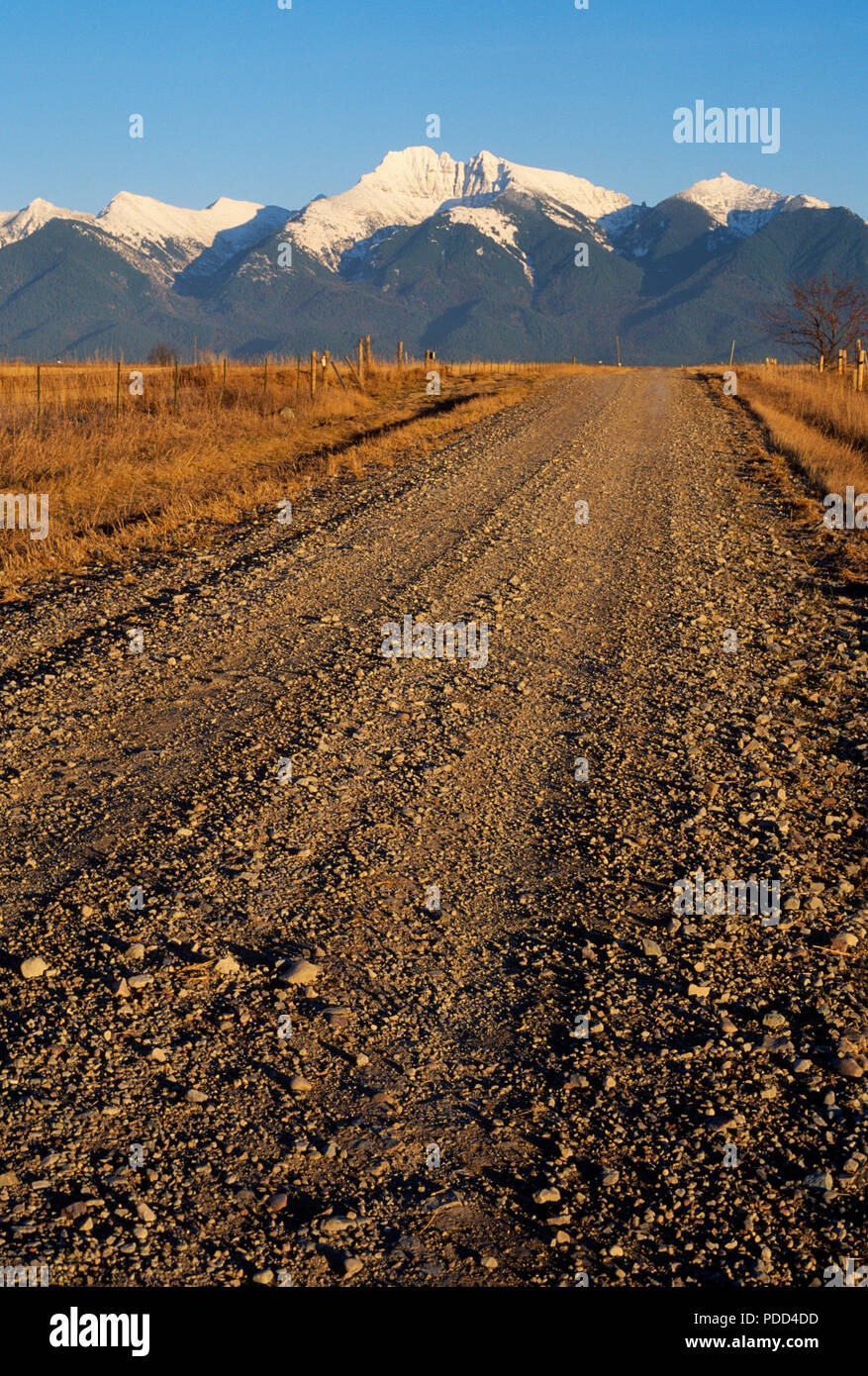 Country road, Montana, leading toward Mission Mountains Stock Photo - Alamy
