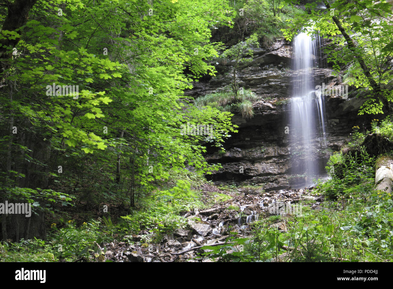 A waterfall in a green forest Stock Photo - Alamy