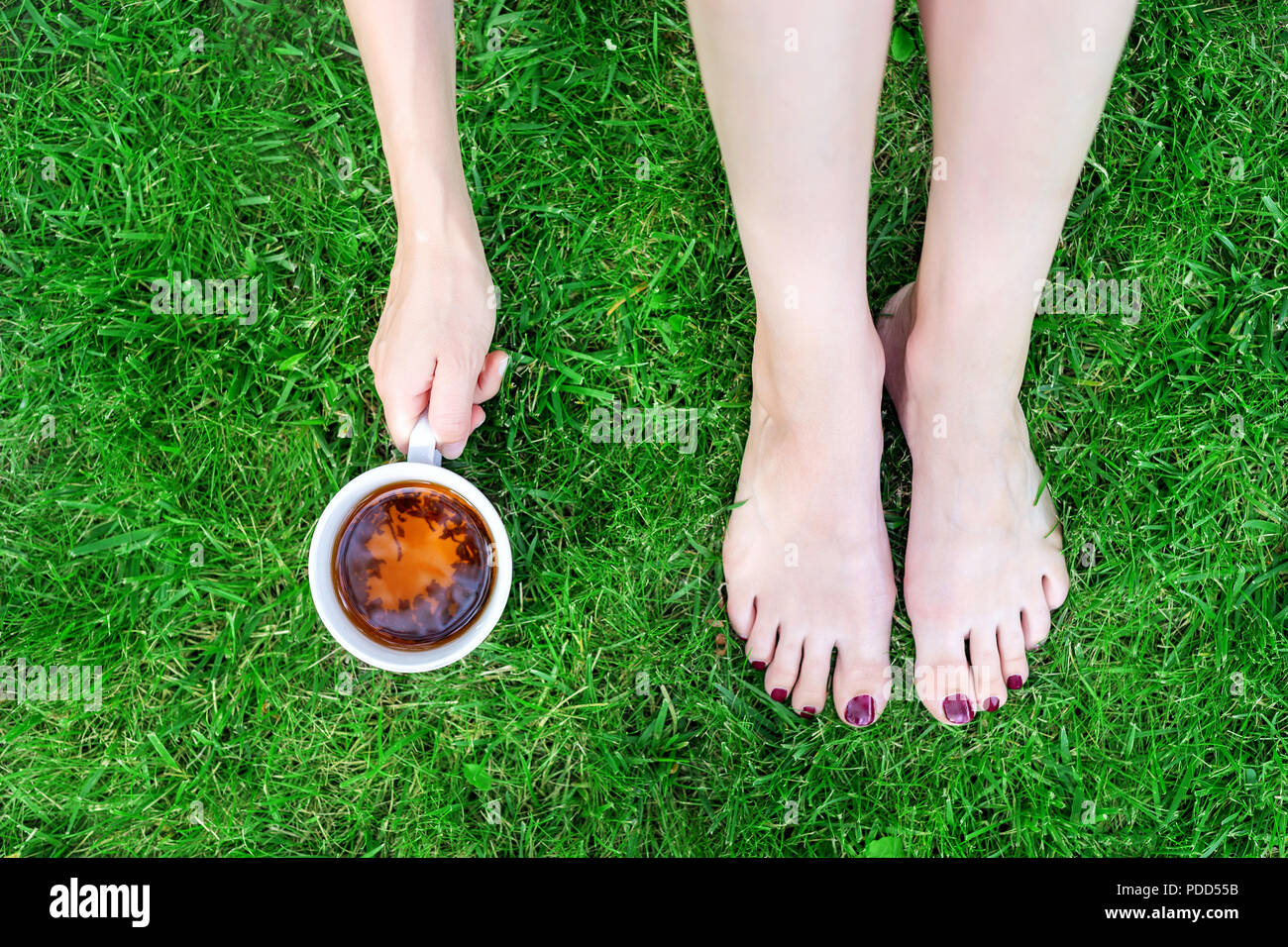 Top view of young adult woman legs and hand holding cup of tea sitting ...