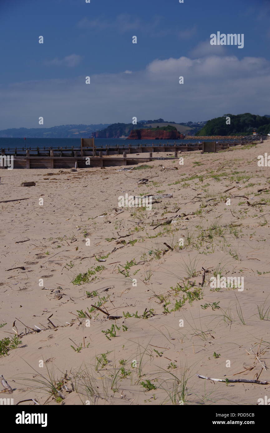 Strand line along Dawlish Warren Beach, looking towards Langstone Rock ...