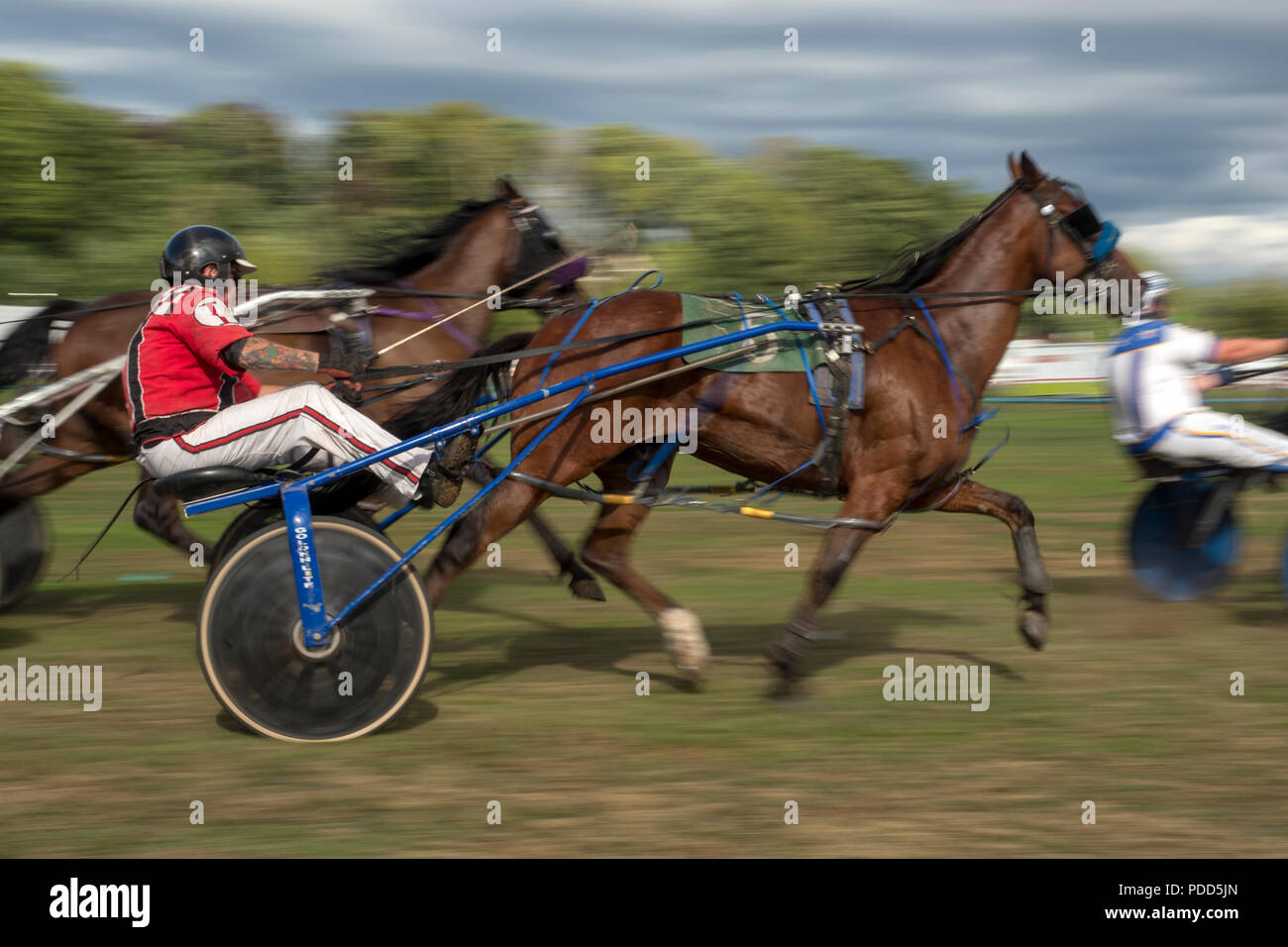 Turriff, Scotland - Aug 06, 2018: Sulky Racing at the Turriff ...