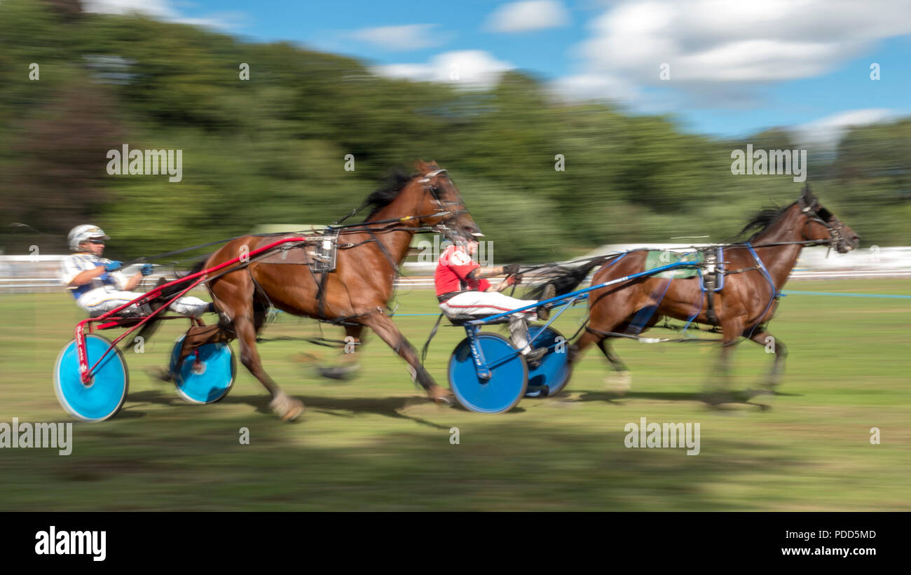 Turriff, Scotland - Aug 06, 2018: Sulky Racing at the Turriff ...