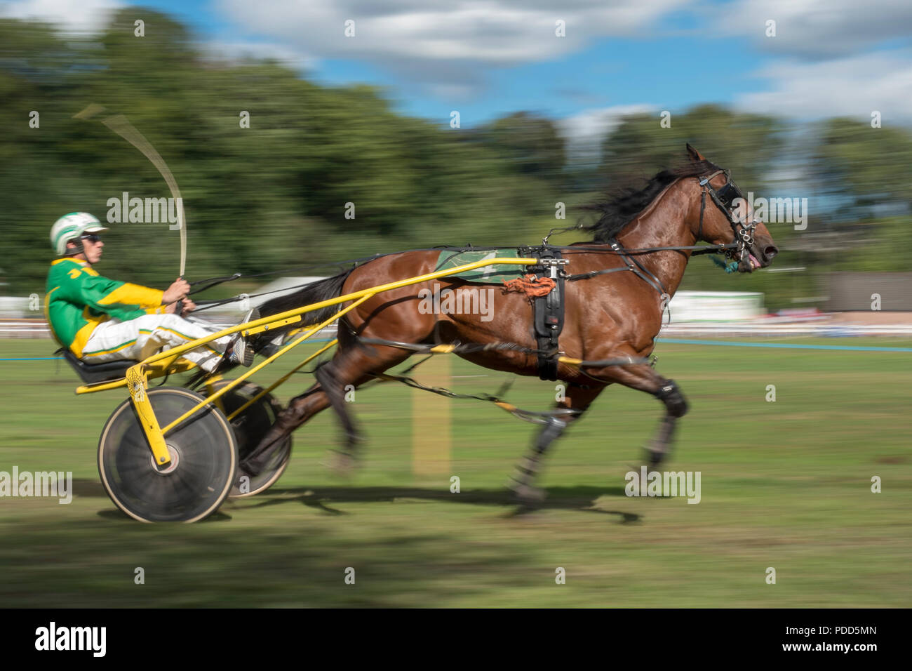 Horse With Sulky Racing Trot High Resolution Stock Photography and ...