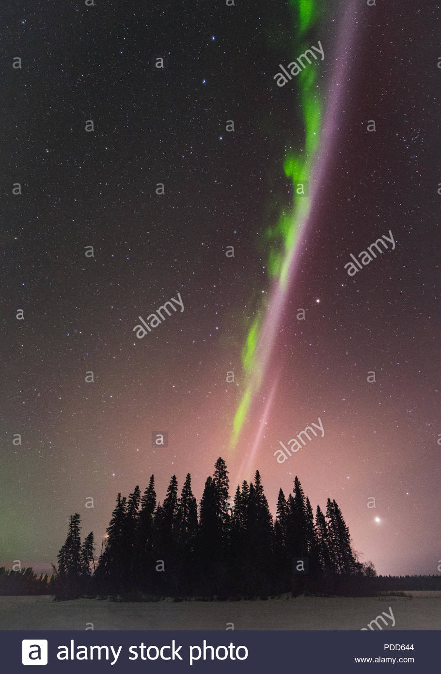 Steve Phenomenon High Resolution Stock Photography and Images - Alamy