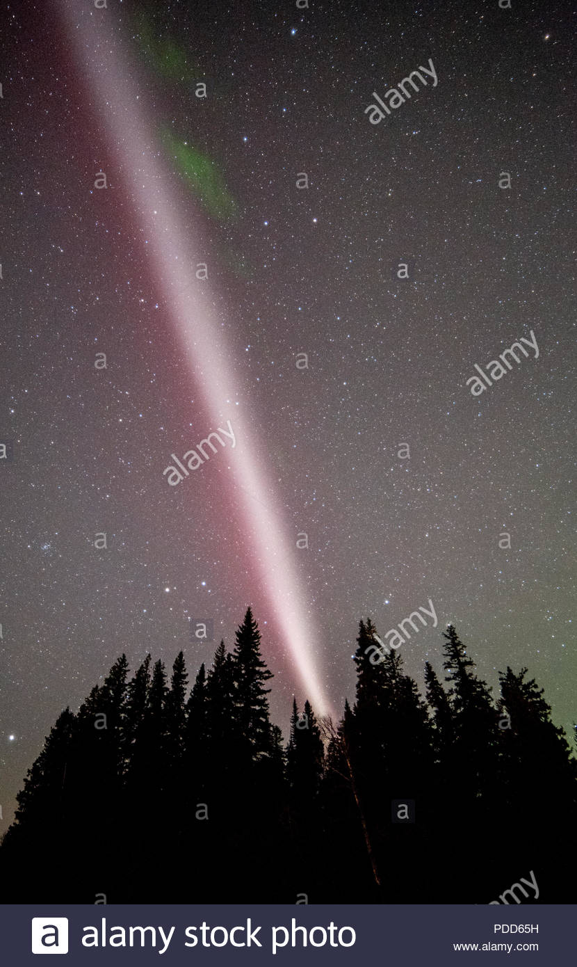 Steve Phenomenon High Resolution Stock Photography and Images - Alamy