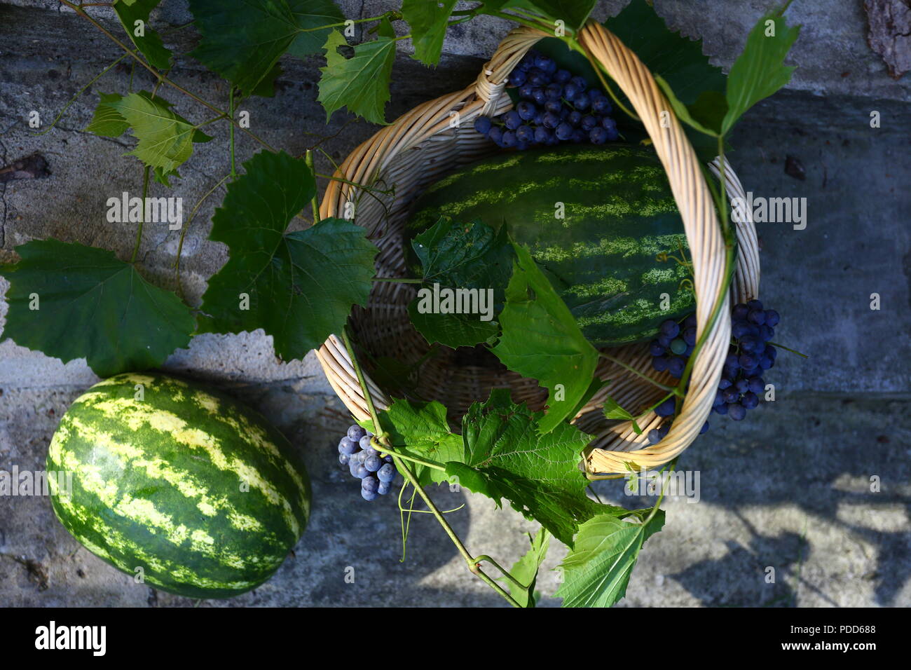Food: Water melon, grapes and apples composition Stock Photo - Alamy