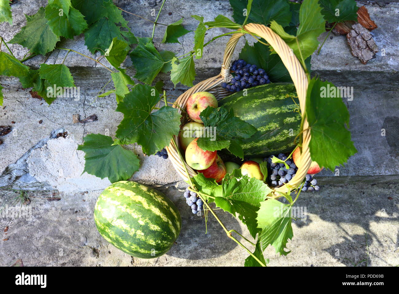 Food: Water melon, grapes and apples composition Stock Photo - Alamy