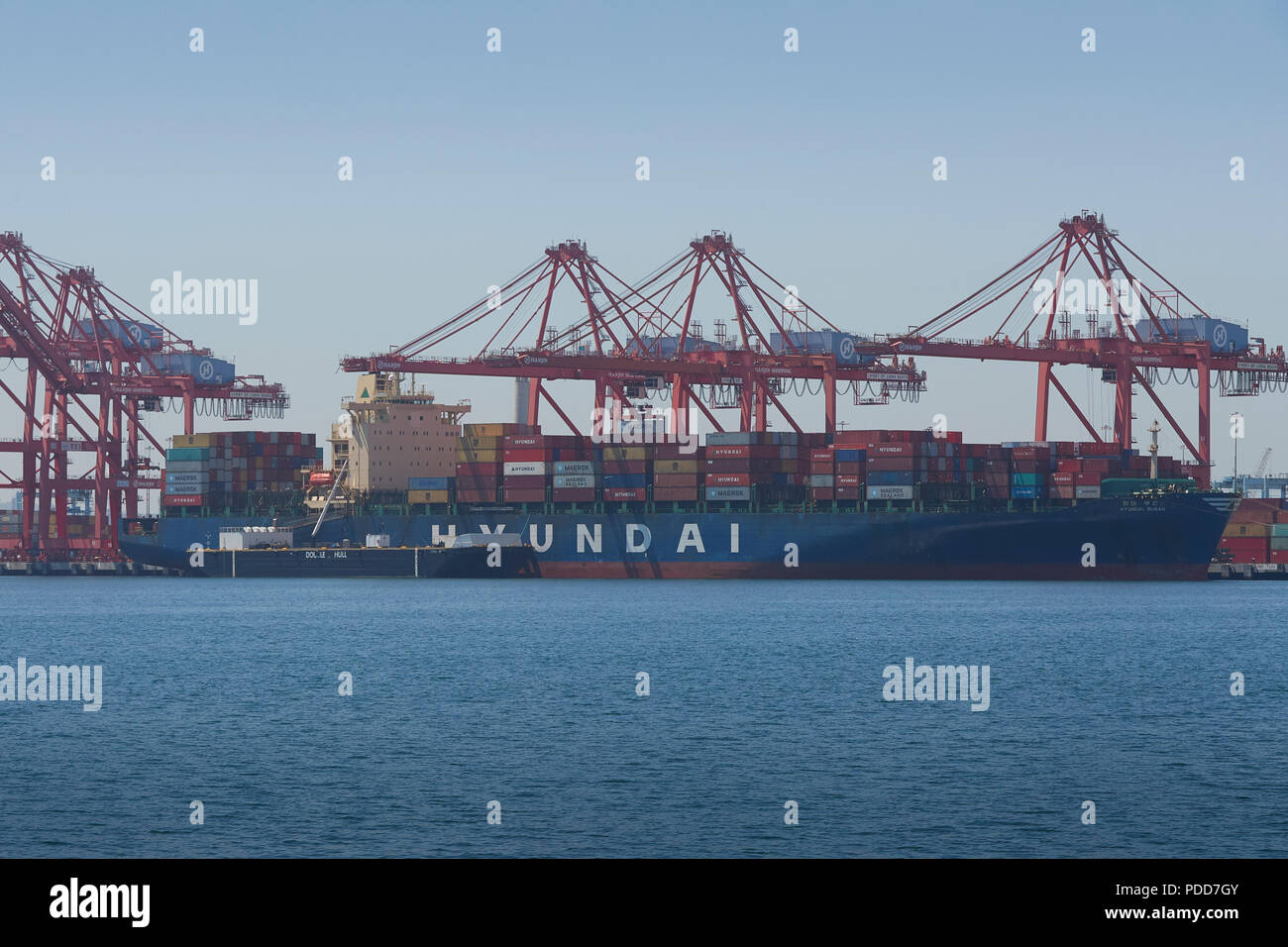 Container Ship, HYUNDAI BUSAN, Loading And And Unloading And Bunkering ...
