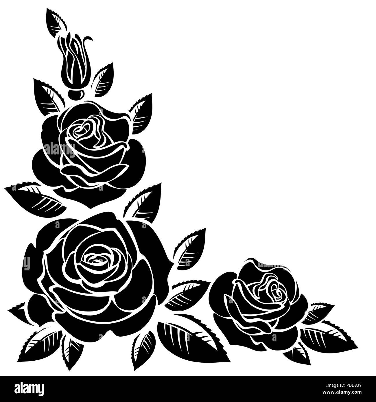 Branch of roses hi-res stock photography and images - Alamy