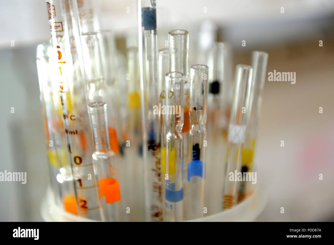 Laboratory glassware containing colorful chemical liquid, lab research ...