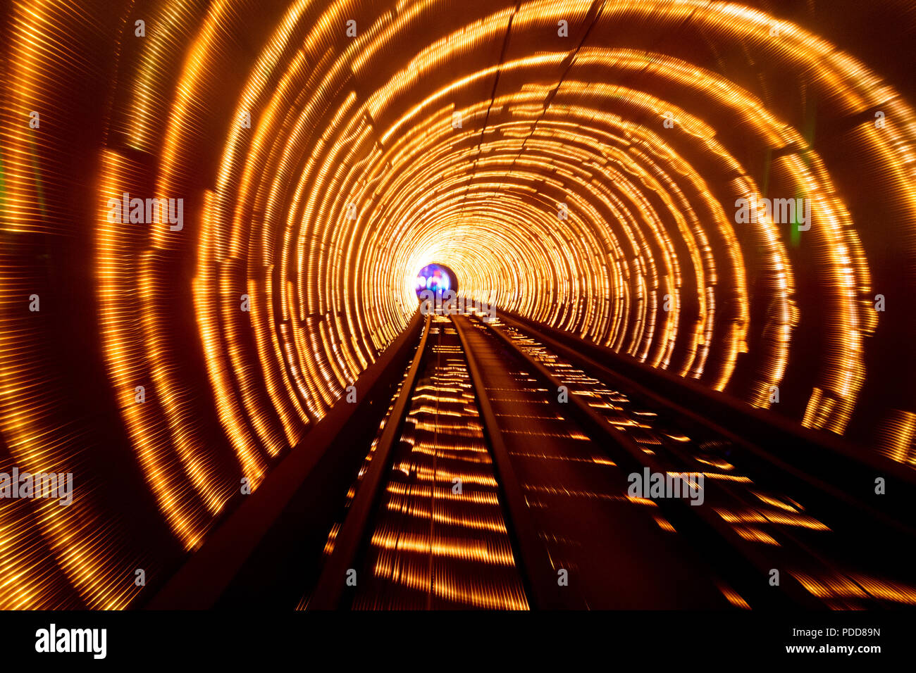 Light streaks. Long exposure from train passing through Bund Sightseeing Tunnel in Shanghai ...