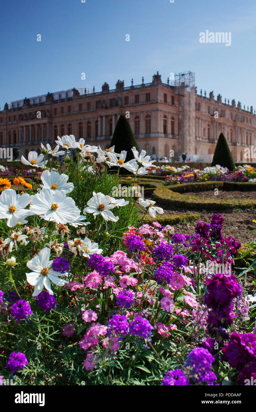 Colorful flowers in the garden of Palace of Versailles, summer ...