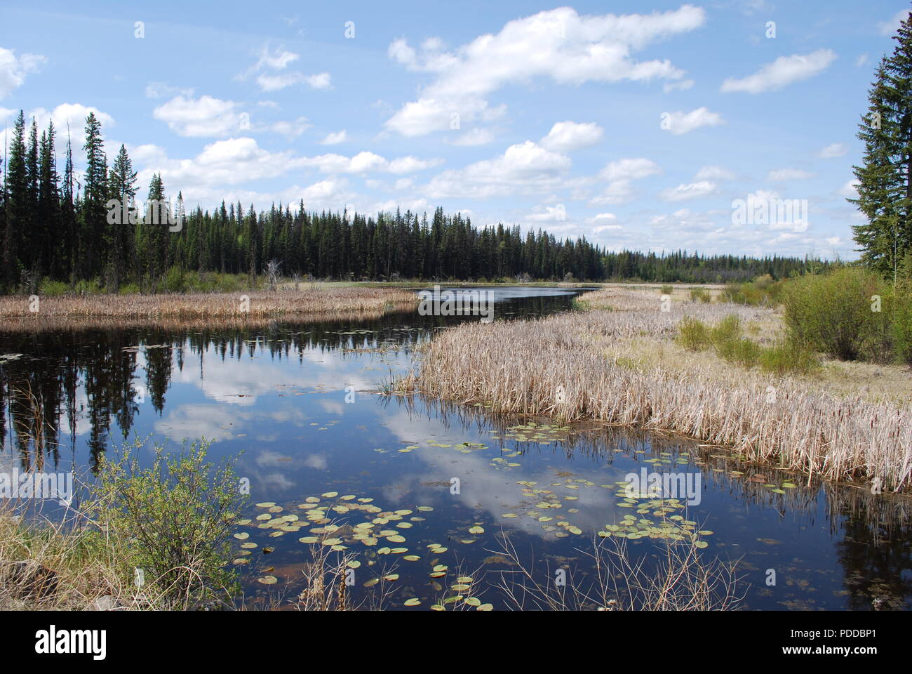 Marsh scenery hi-res stock photography and images - Alamy