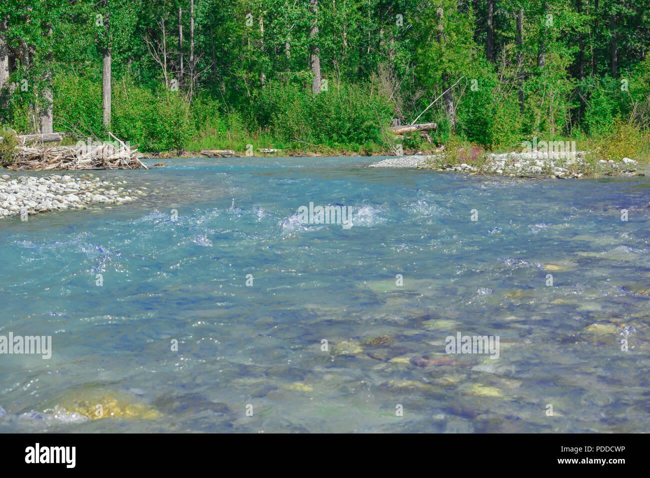 Kings river hi-res stock photography and images - Alamy