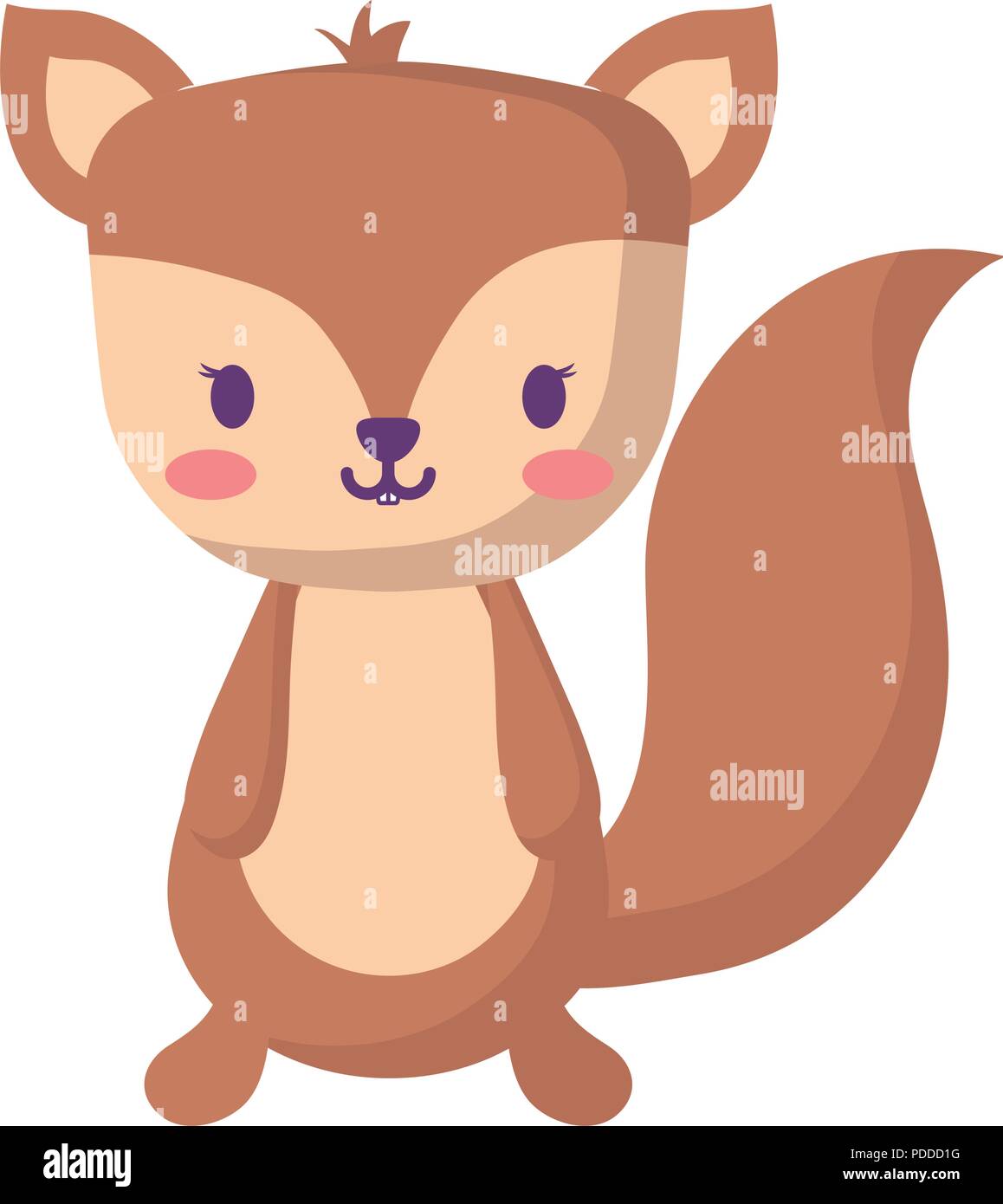 cute squirrel icon over white background, vector illustration Stock ...