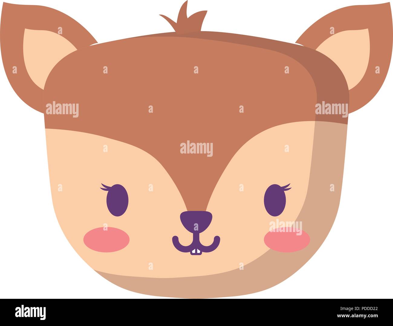 cute squirrel icon over white background, vector illustration Stock ...