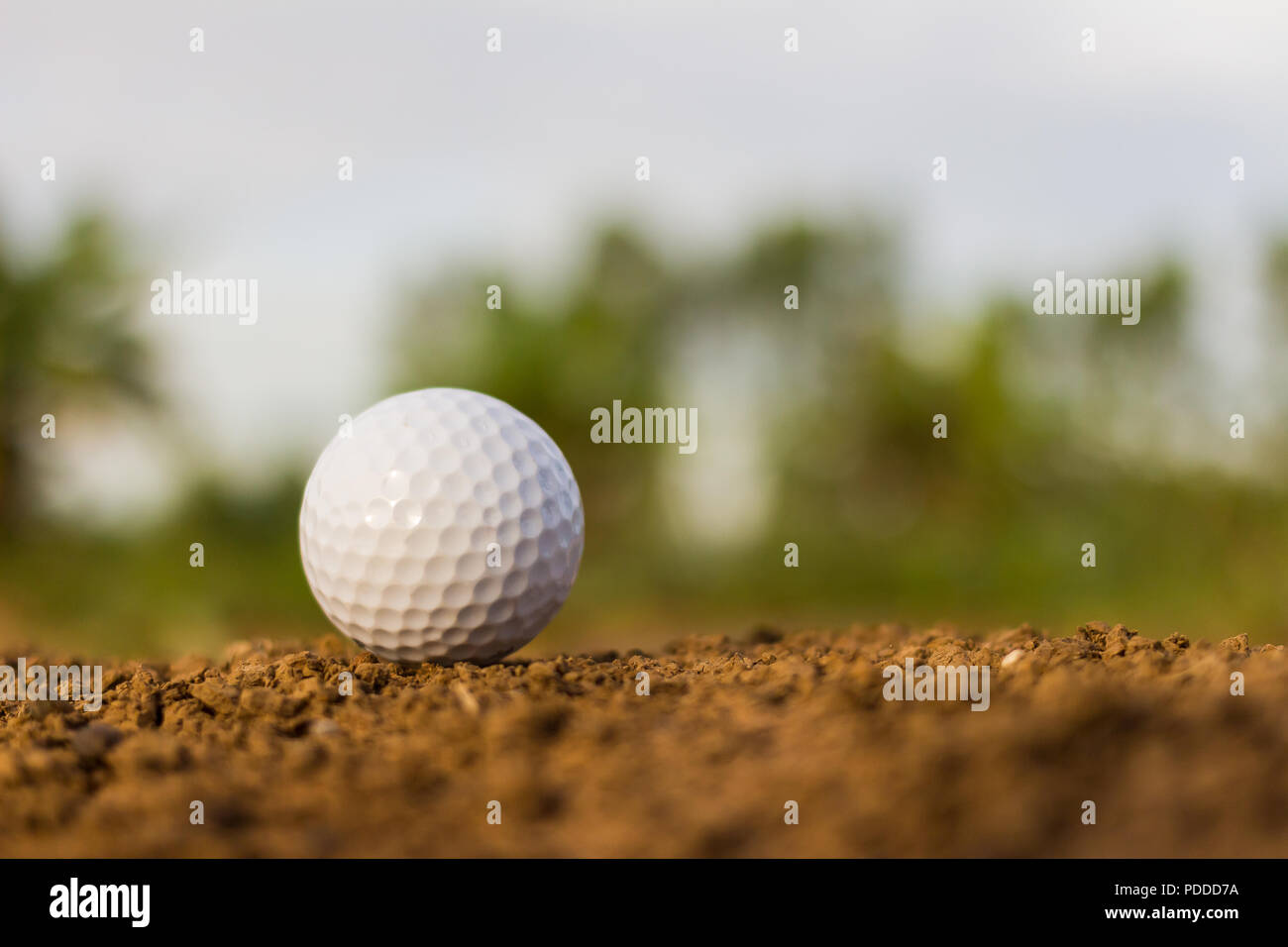 Golf business card hi-res stock photography and images - Alamy