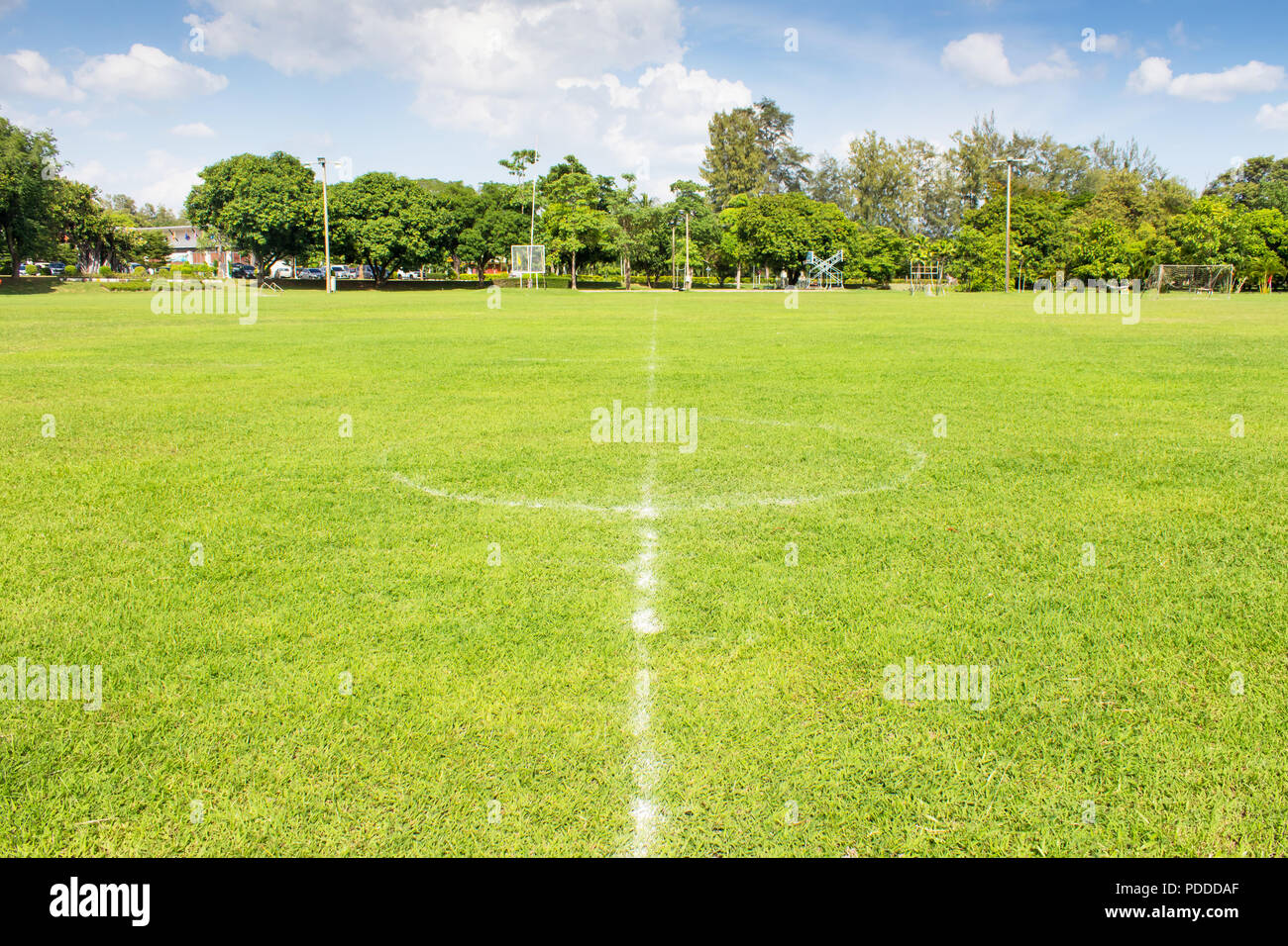 White stripe on the green soccer field Stock Photo - Alamy