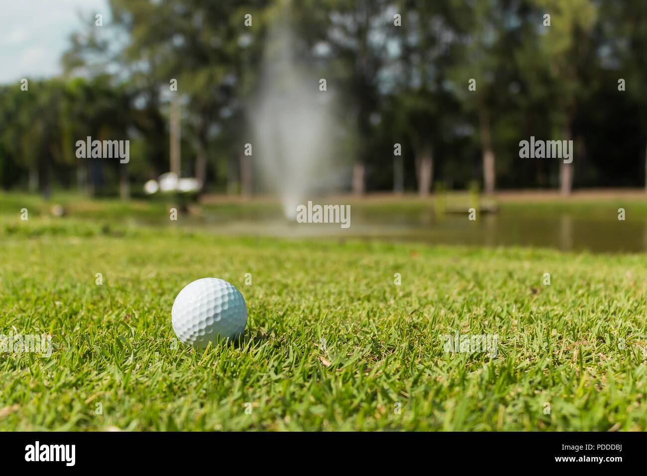 Golf ball on green grass background Stock Photo - Alamy