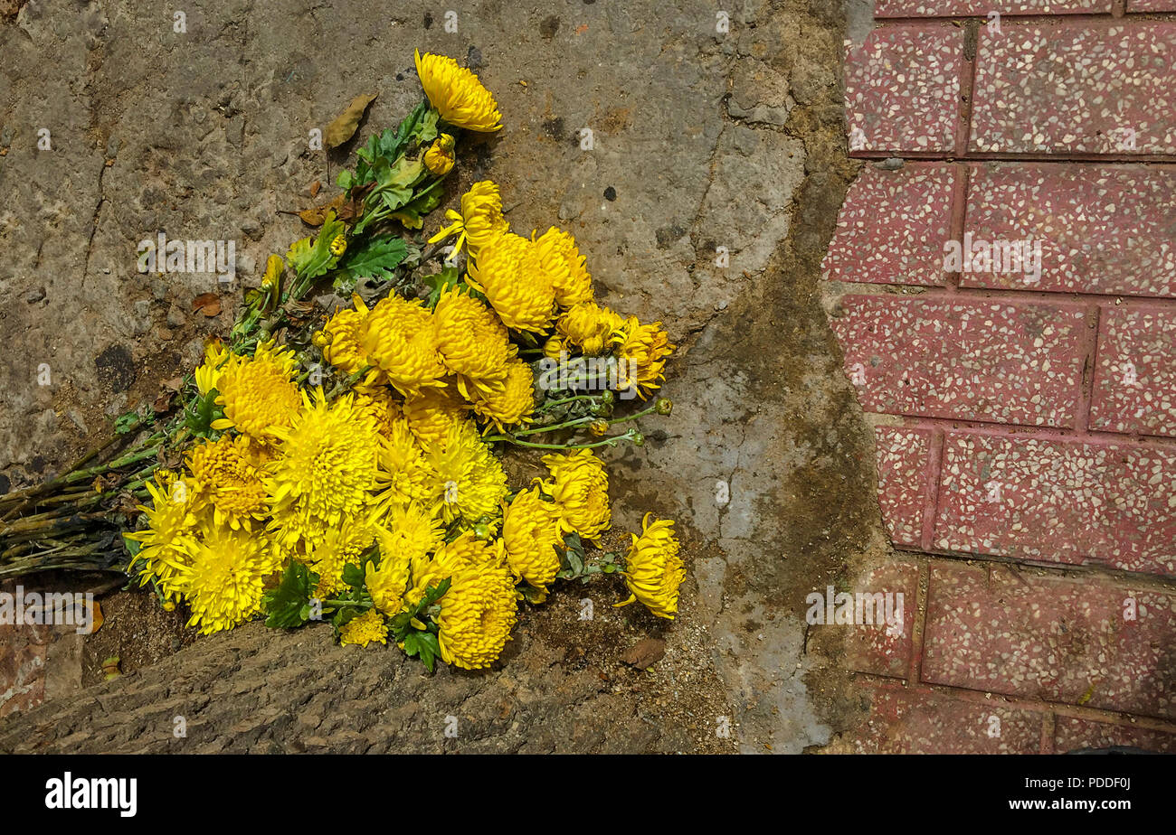 Flowers laying on the ground hi-res stock photography and images - Alamy