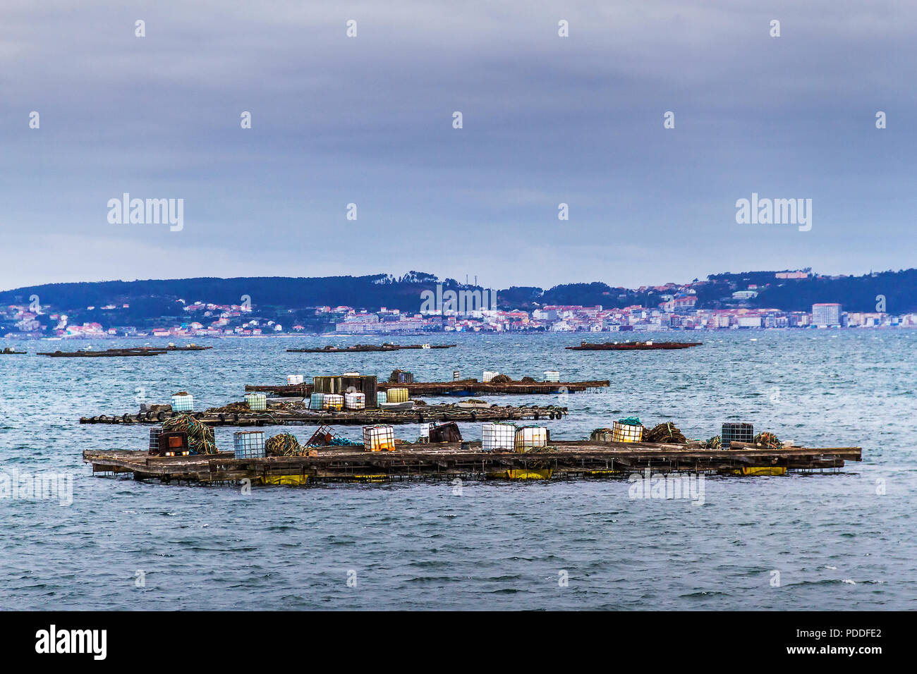 Mussel aquaculture rafts in Arousa estuary Stock Photo - Alamy