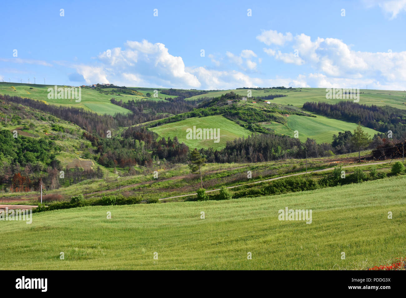 Italy, Puglia region, typical hilly landscape in spring Stock Photo - Alamy