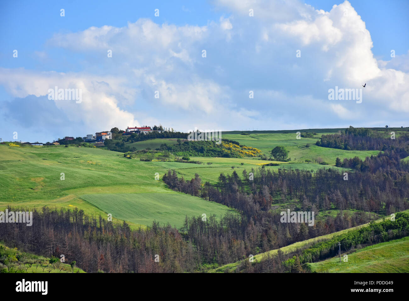 Italy, Puglia region, typical hilly landscape in spring Stock Photo - Alamy