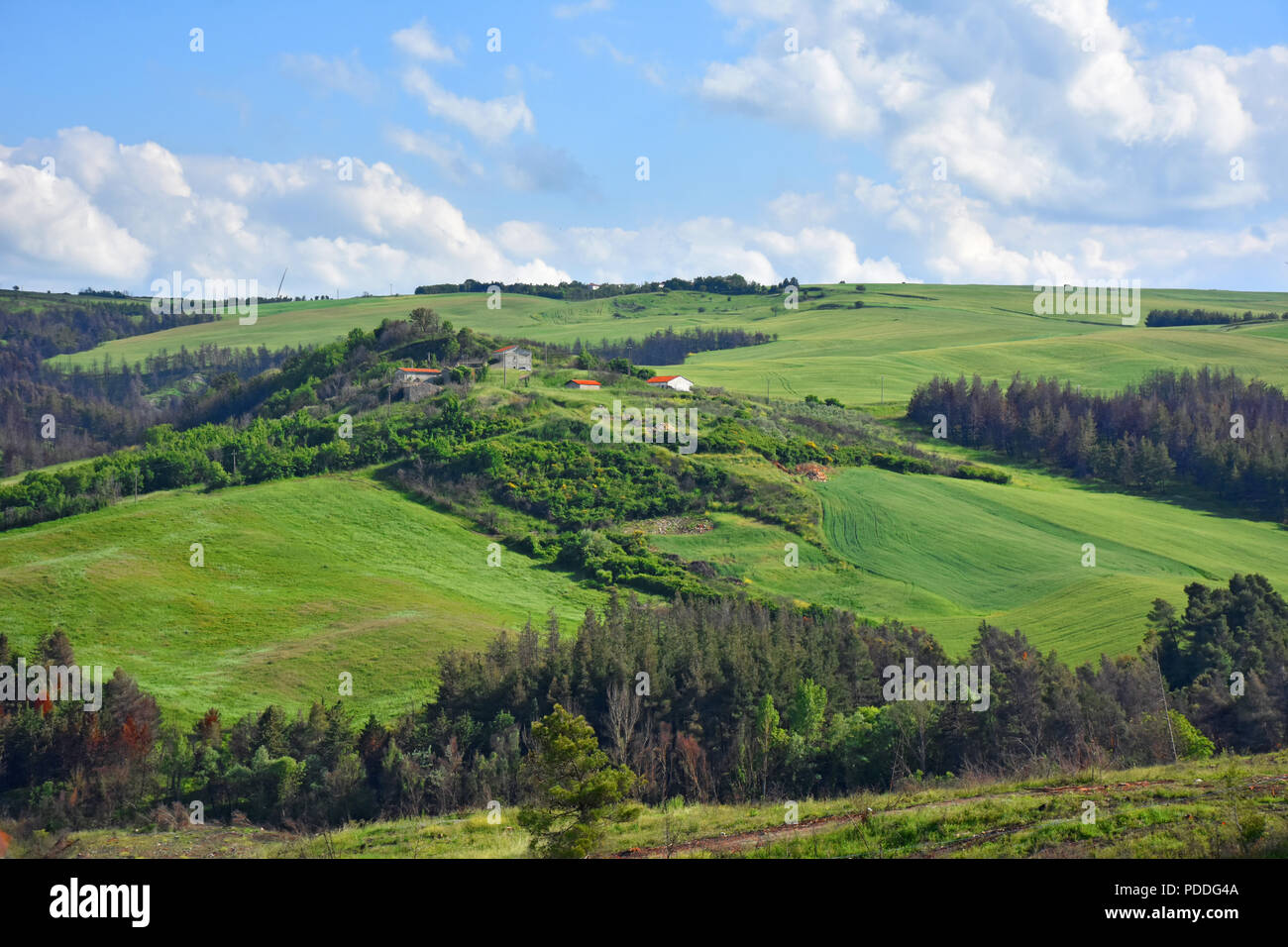 Italy, Puglia region, typical hilly landscape in spring Stock Photo - Alamy