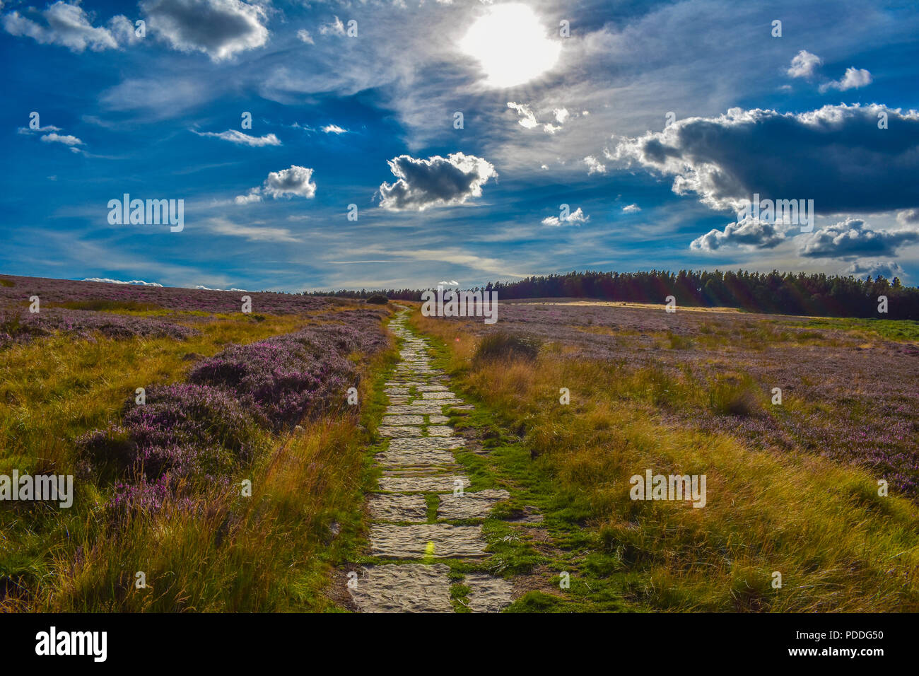 Path to sunshine Stock Photo - Alamy