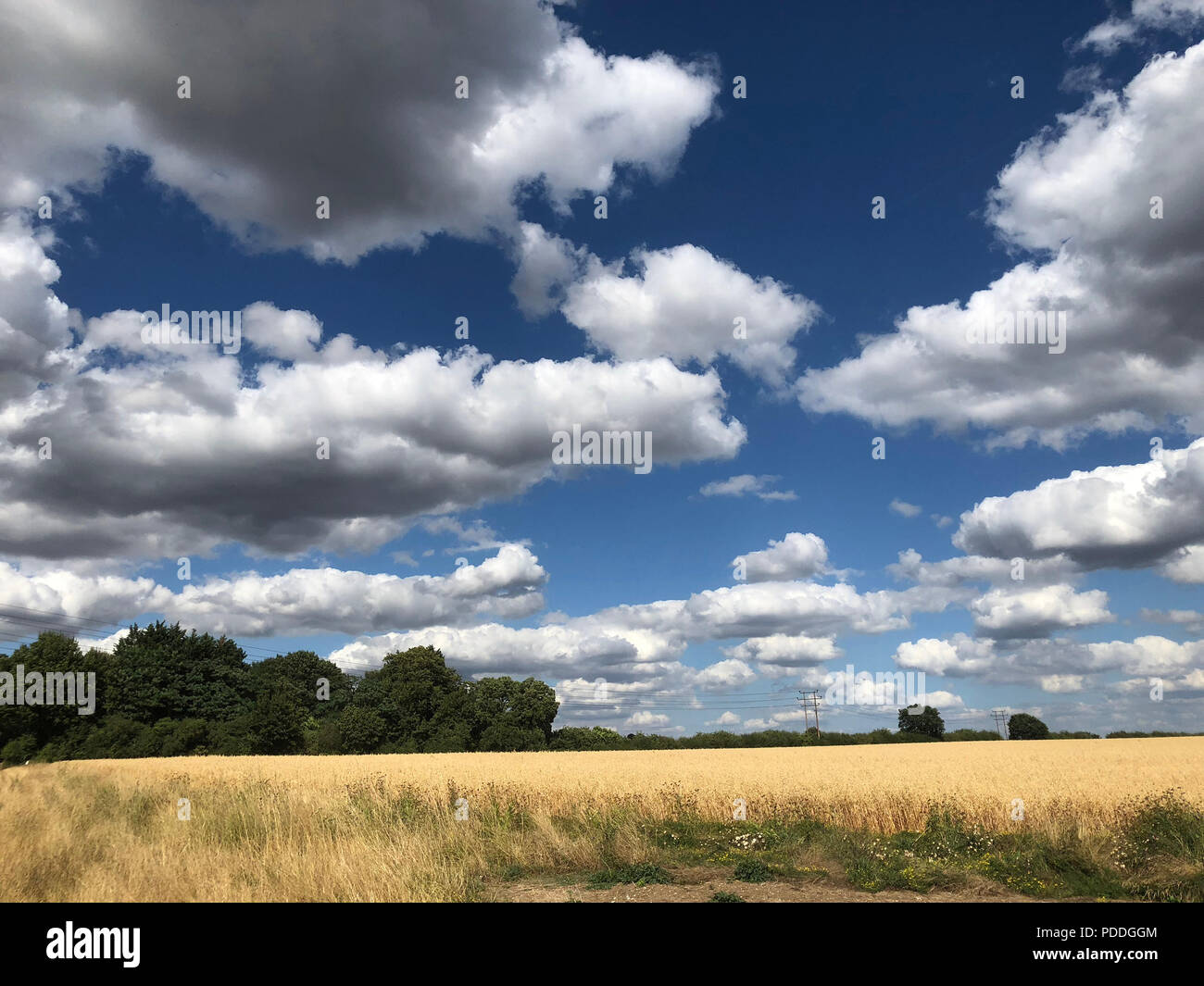 CUMULUS CLOUD over English field. Photo: Tony Gale Stock Photo - Alamy