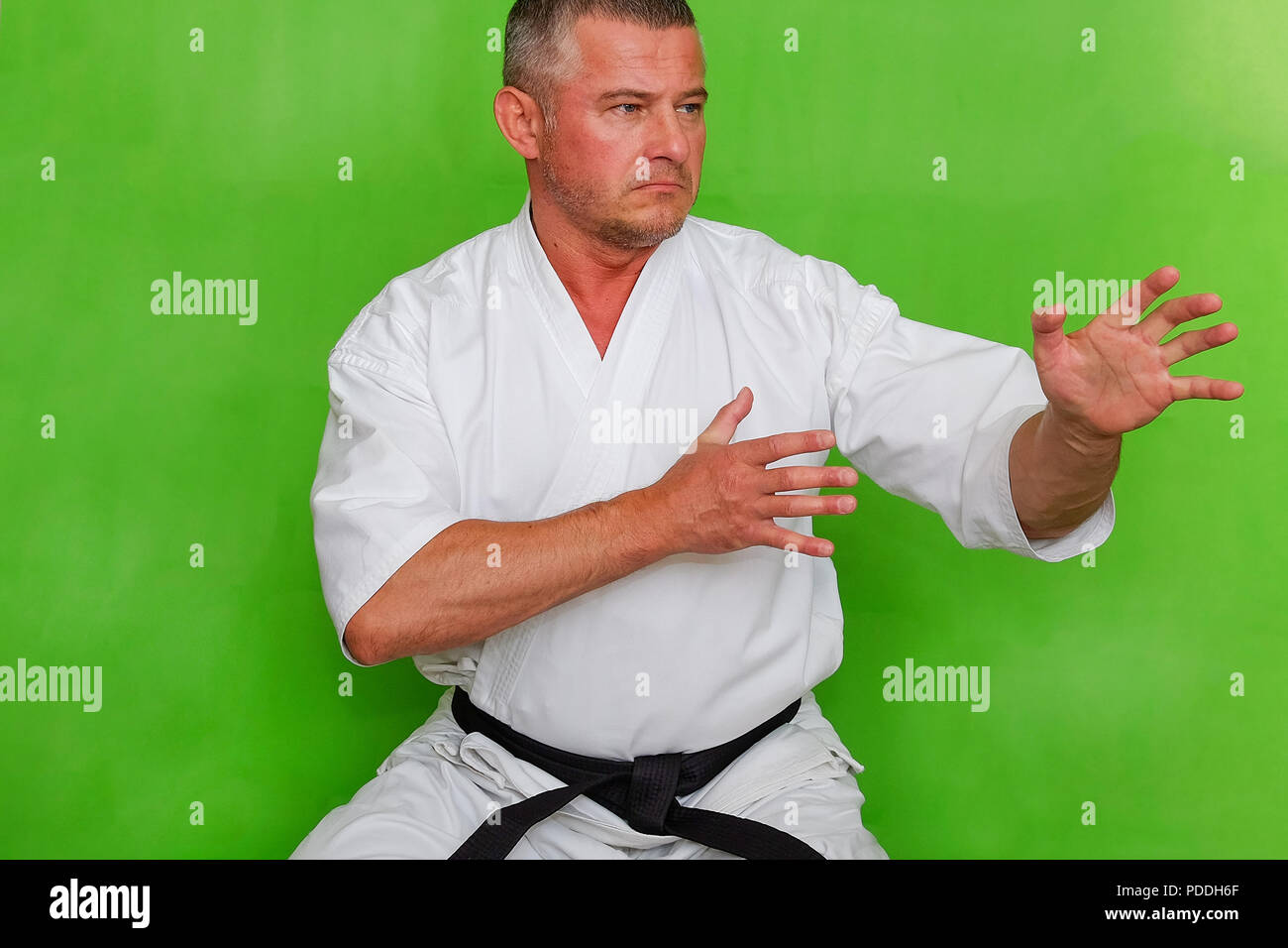 The sportsman in a kimono. The practice of karate KUDO. Azuma Takashi ...