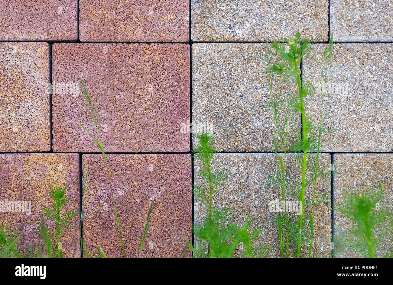 Silicate brick. Big and small. Different color. Decorative bricks. The ...