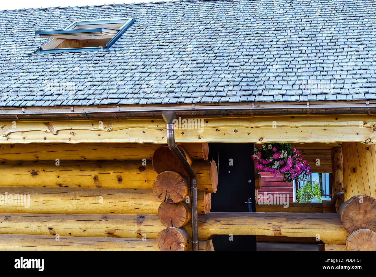 Natural wooden tiles made of larch. Shingles, shingles, shingles ...
