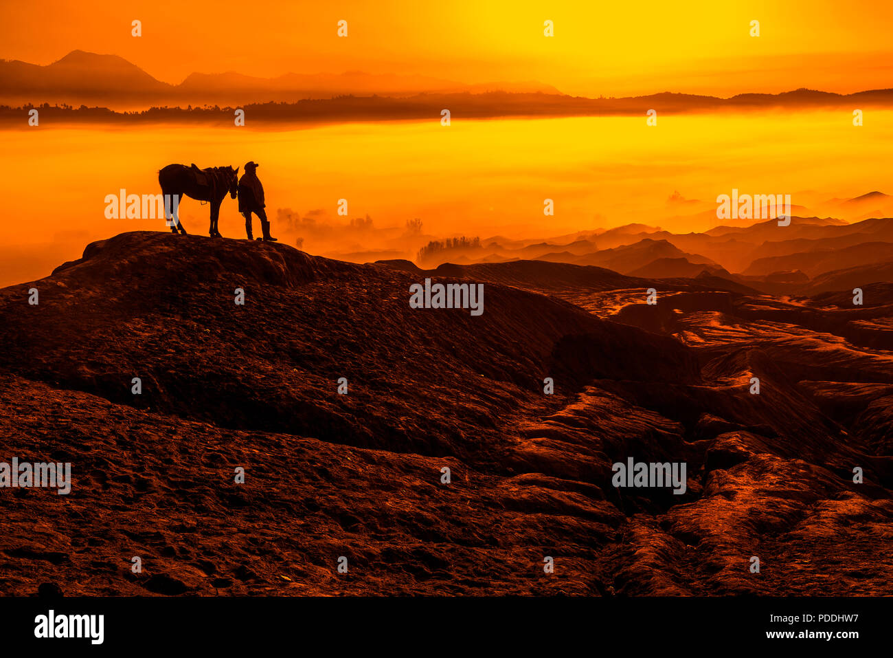 Portrait of Horsemen at sunrise in Bromo volcano, Indonesia Stock Photo ...
