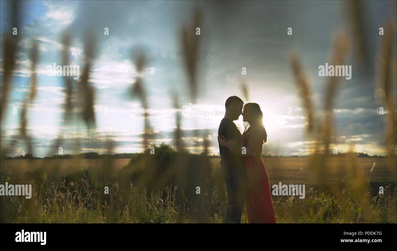 Young happy couple kissing in nature against the setting sun at sunset ...