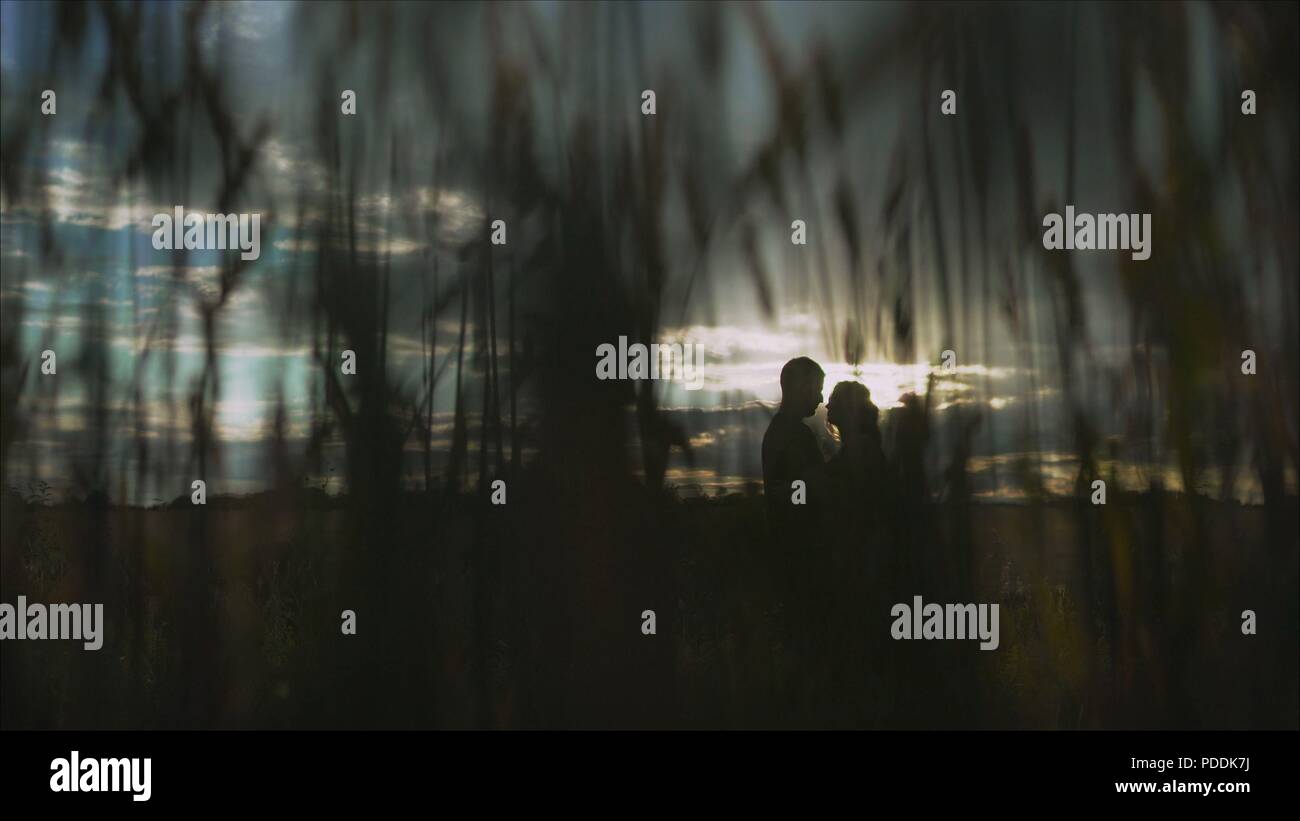 Young happy couple kissing in nature against the setting sun at sunset ...