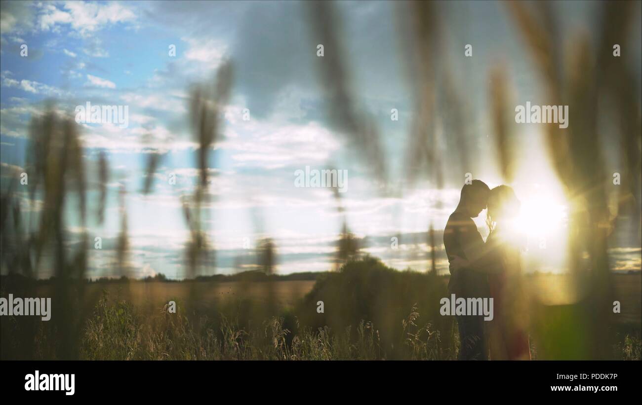 Young happy couple kissing in nature against the setting sun at sunset ...