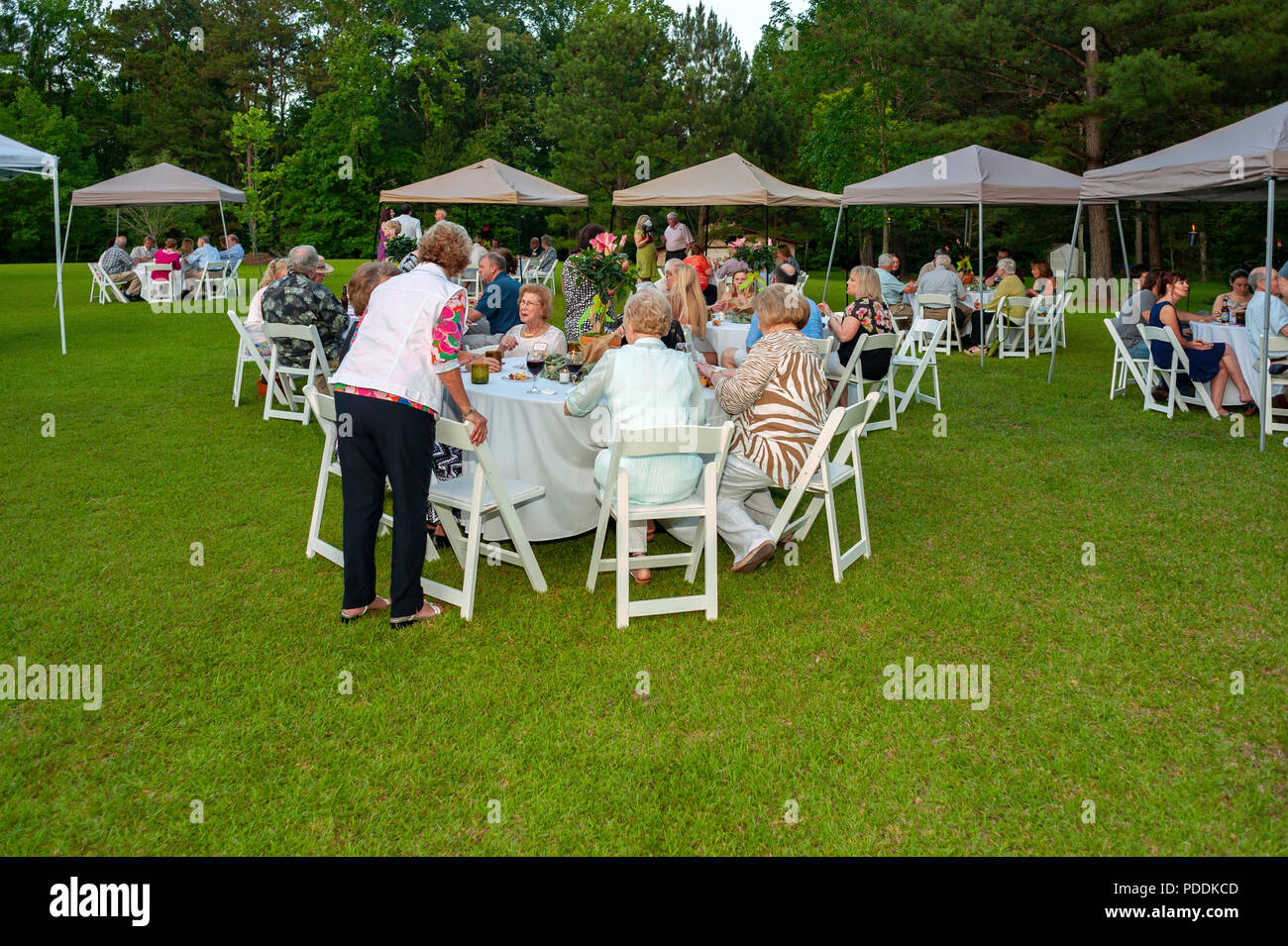 A summer gathering in the South brings a touch of class to the outdoors ...