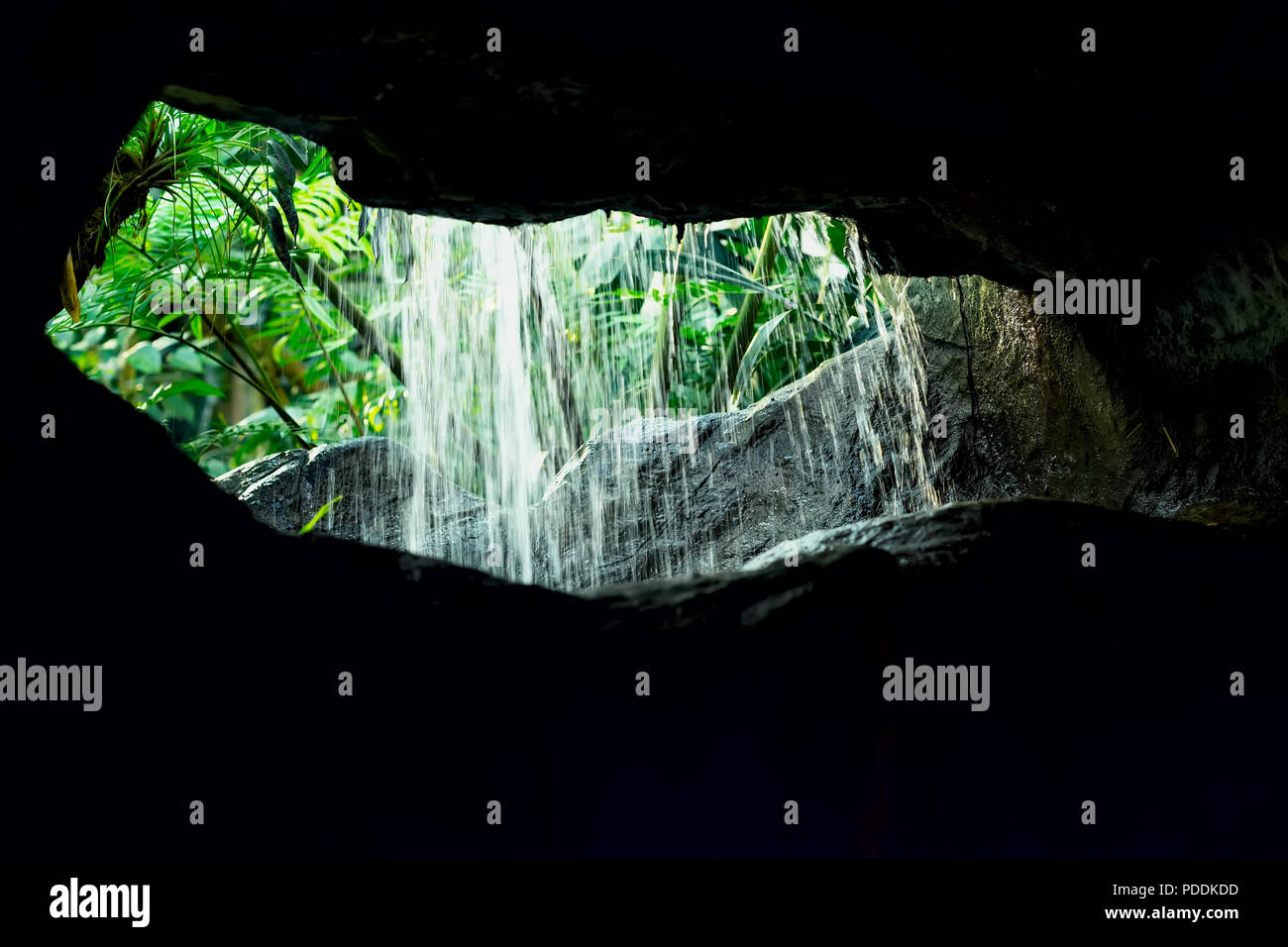 View through grotto on exotic tropical plants and waterfall. Dark ...