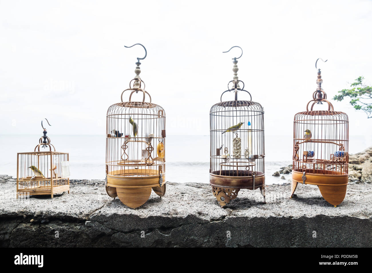 Bali bird cage hi-res stock photography and images - Alamy