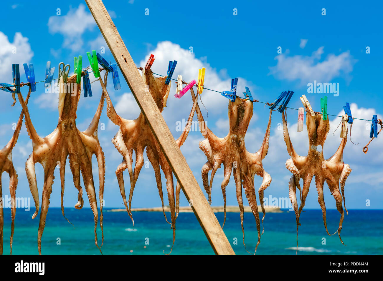 Octopus bay crete hi-res stock photography and images - Alamy