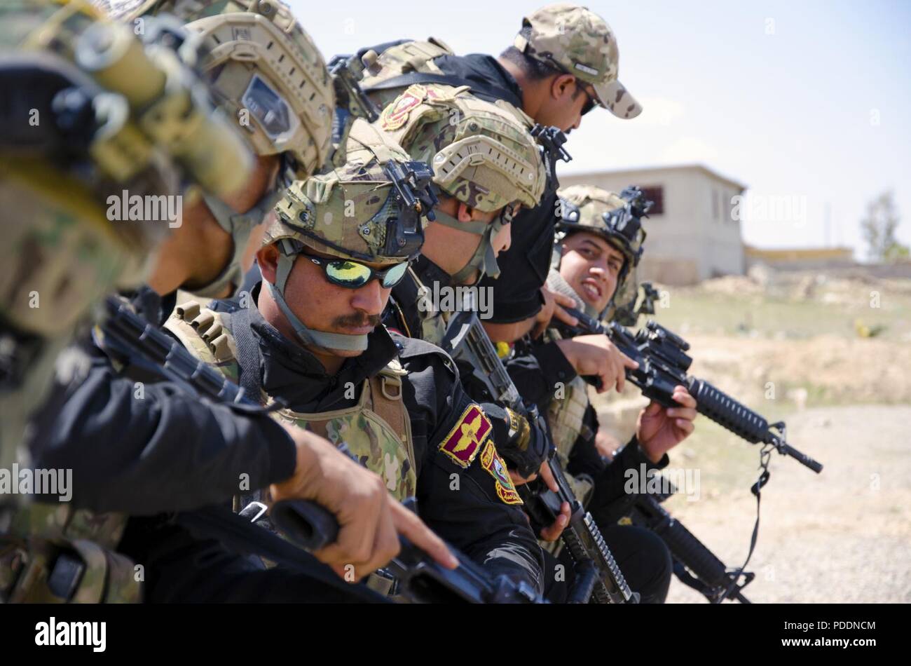 Iraqi Cts High Resolution Stock Photography and Images - Alamy