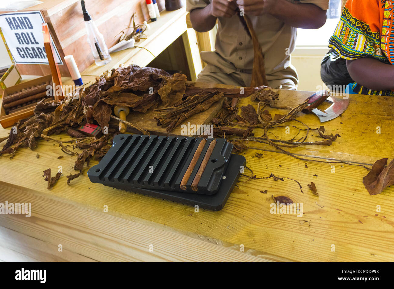 Traditional manufacture of cigars at the cuban tobacco factory, Havana ...