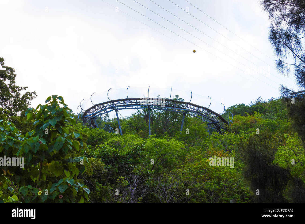 Labadee Roller Coaster