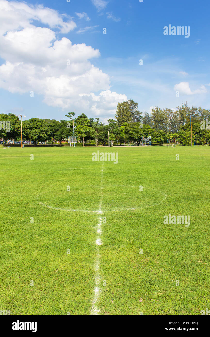 White stripe on the green soccer field Stock Photo - Alamy