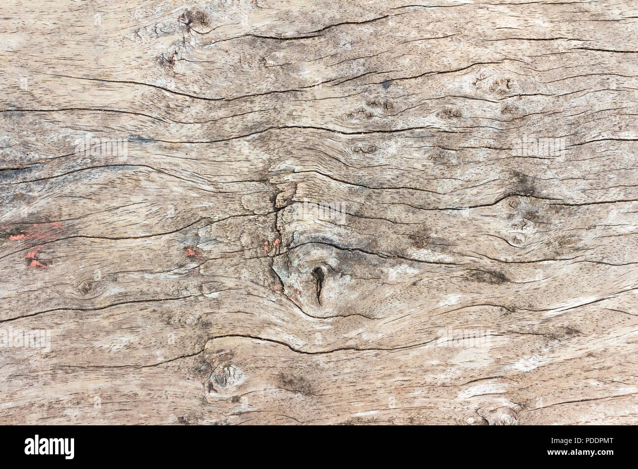Break wood texture with tacks Stock Photo - Alamy