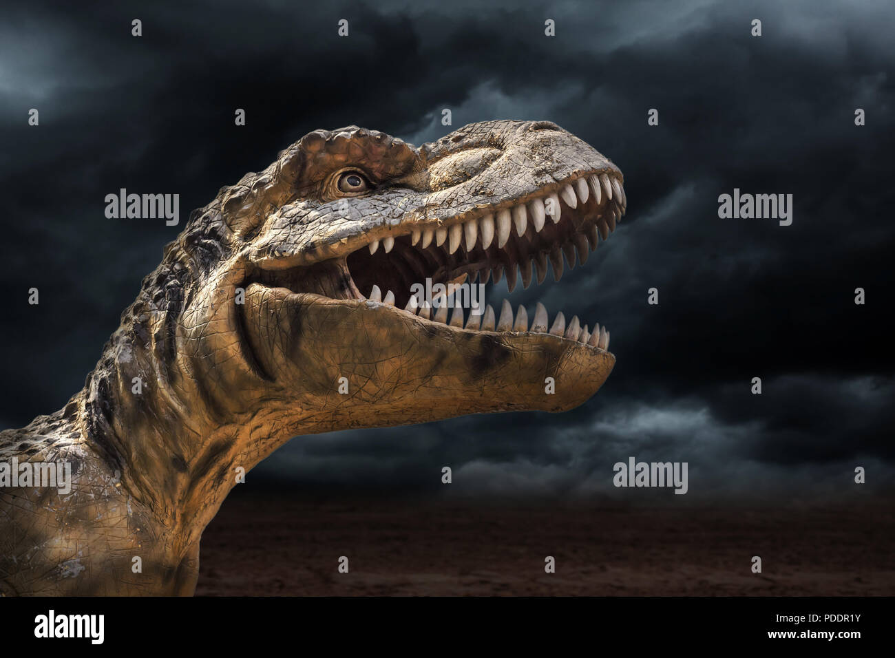 Tyrannosaurus rex in the storm Stock Photo - Alamy